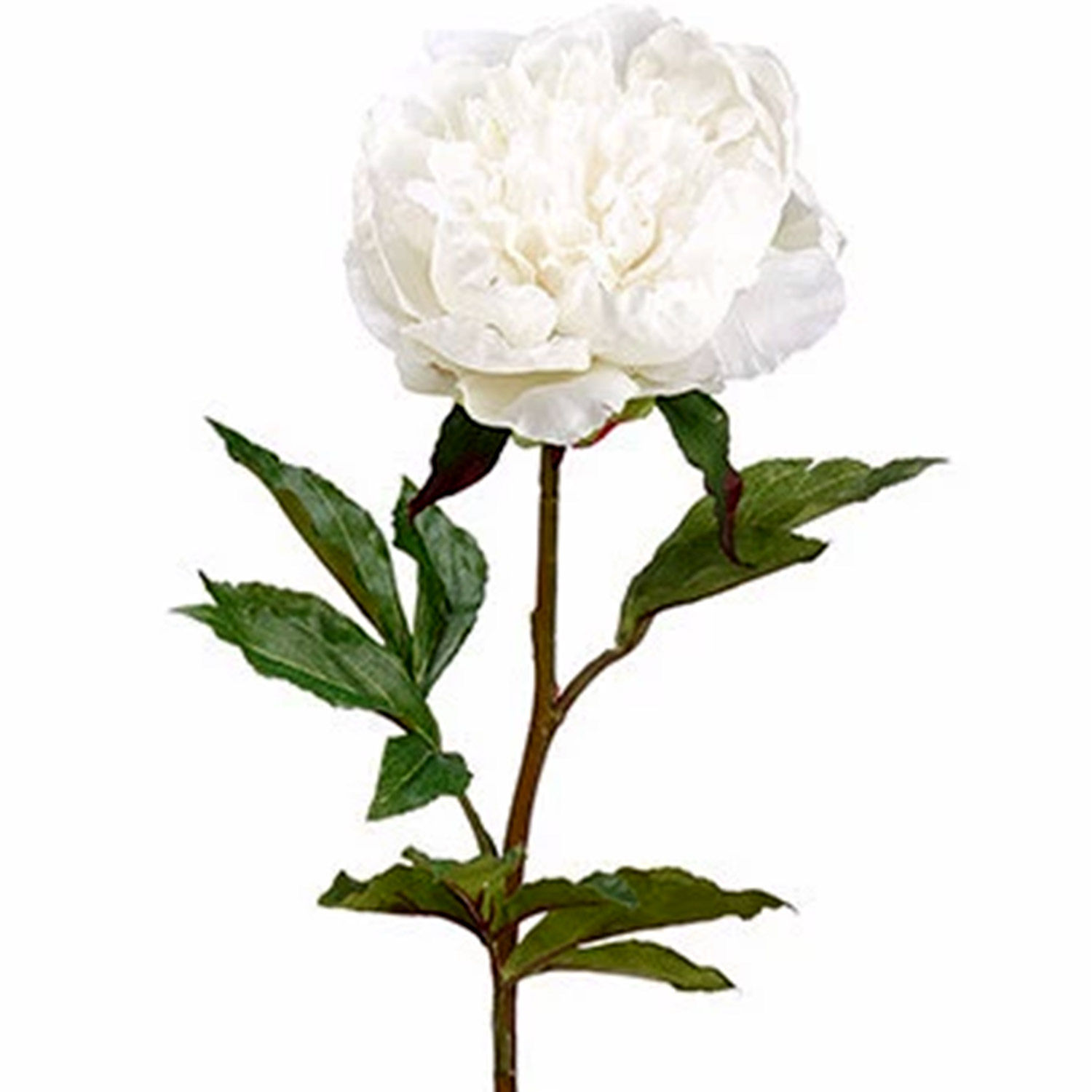 Online 6 Artificial White Peonie Sticks Gift Delivery in UAE - FNP